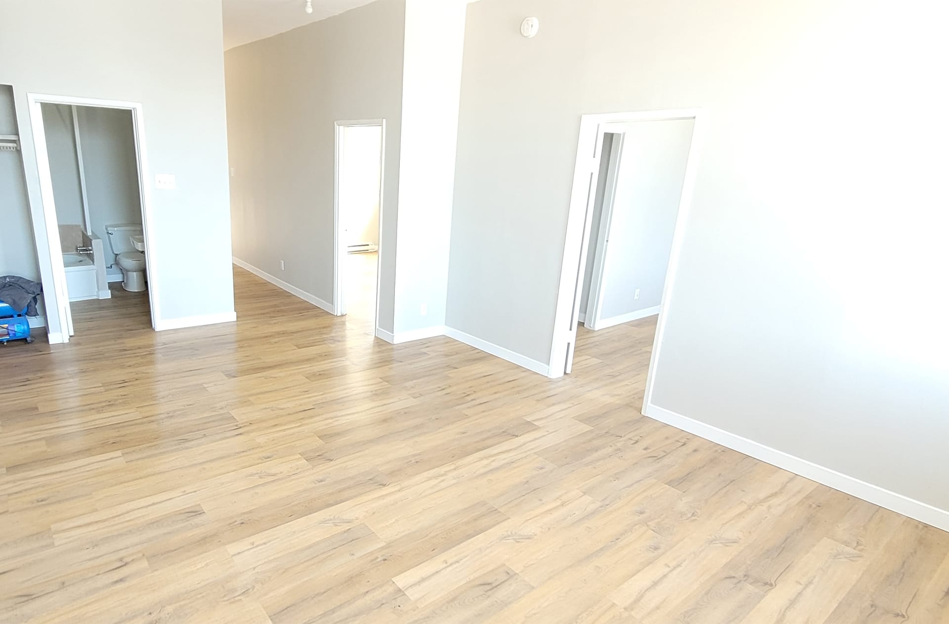 What Type of Vinyl Flooring Should I Use for My Whole House? A Guide to ...